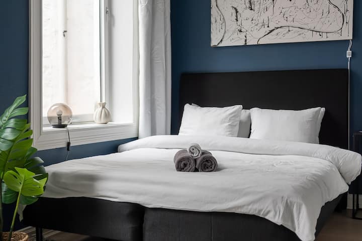 Cozy Apartment Near Oslo Central Station - Oslo