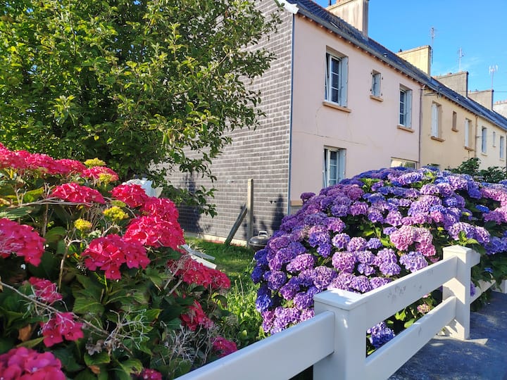 Maison 4 Ch. Jardin Quartier Sympa ! - Douarnenez