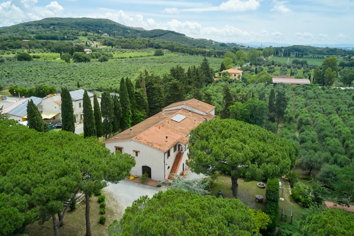 Antichi Palmenti - Corbezzolo - Campiglia Marittima
