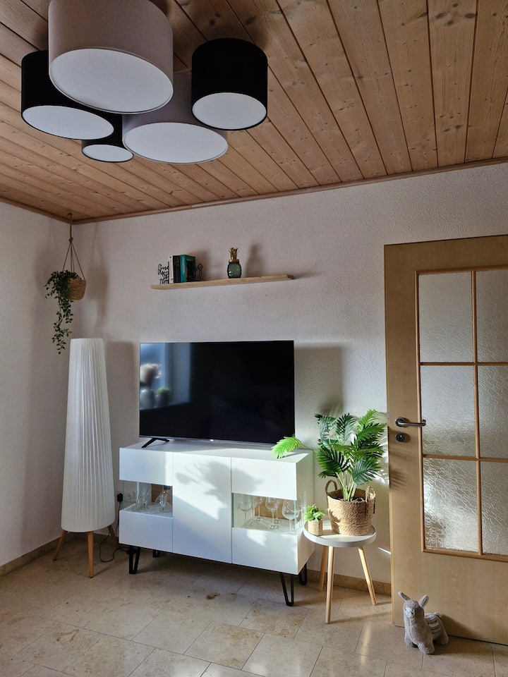 Design-apartment Zw. Dinkelsbühl & Fränk. Seenland - Dinkelsbühl