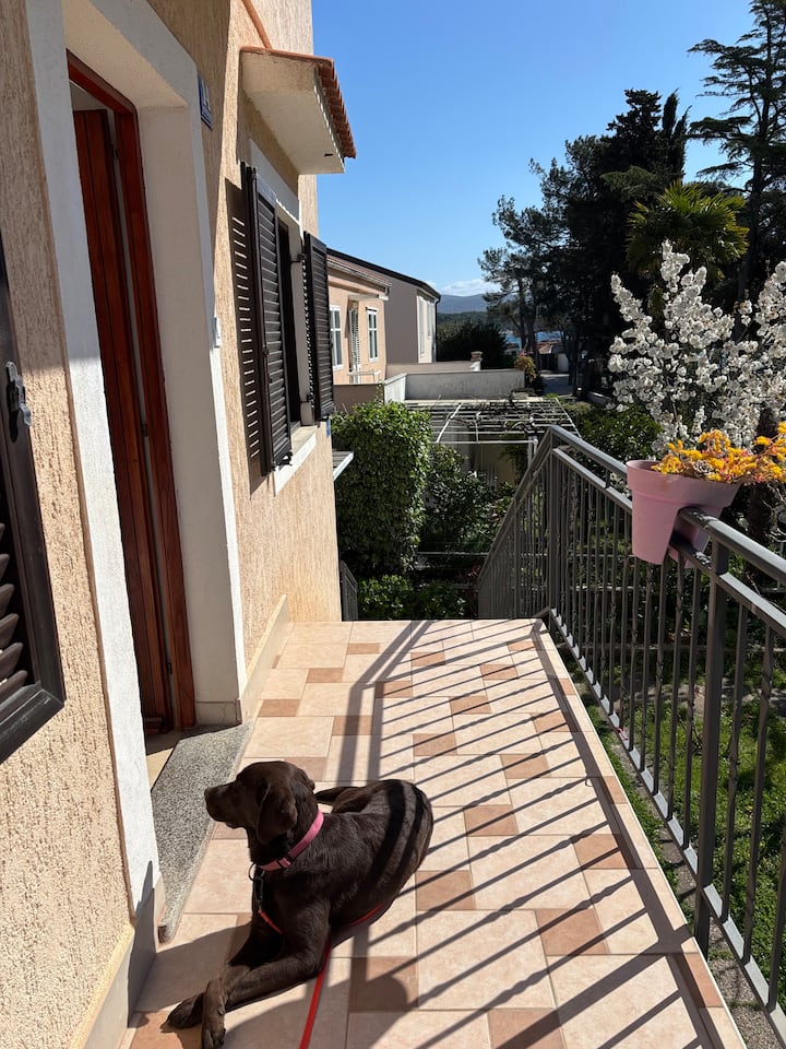 Liva - Krk