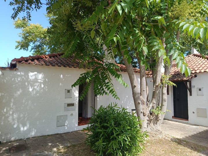 Casa Figueira Pedras Del Rei 132-f - Fuseta