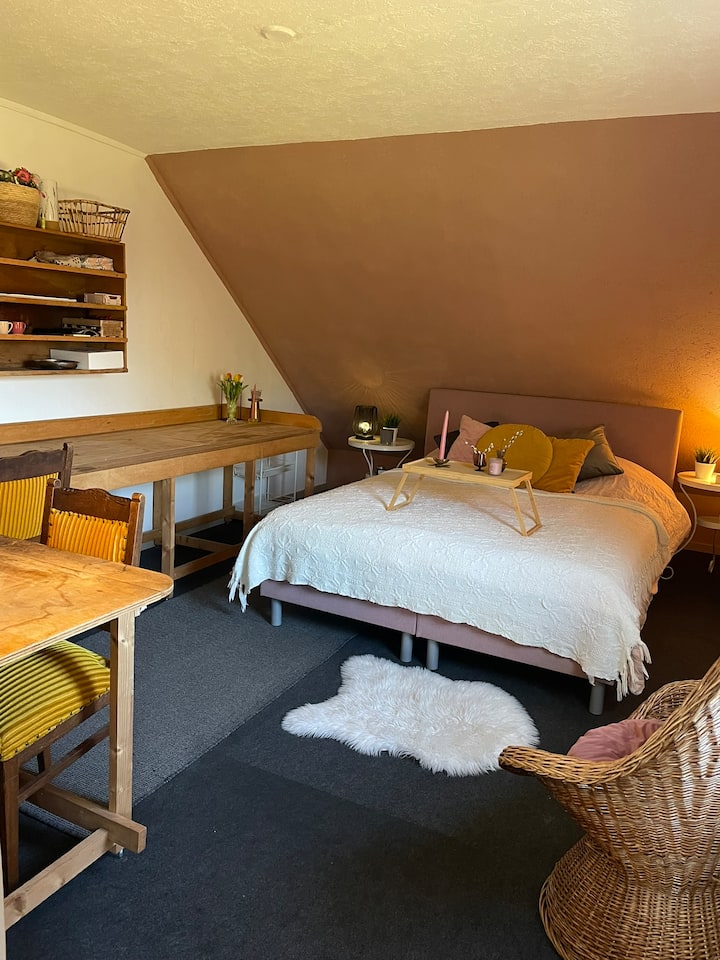 Pink Room

Tijd Voor Creativiteit. - Meppen