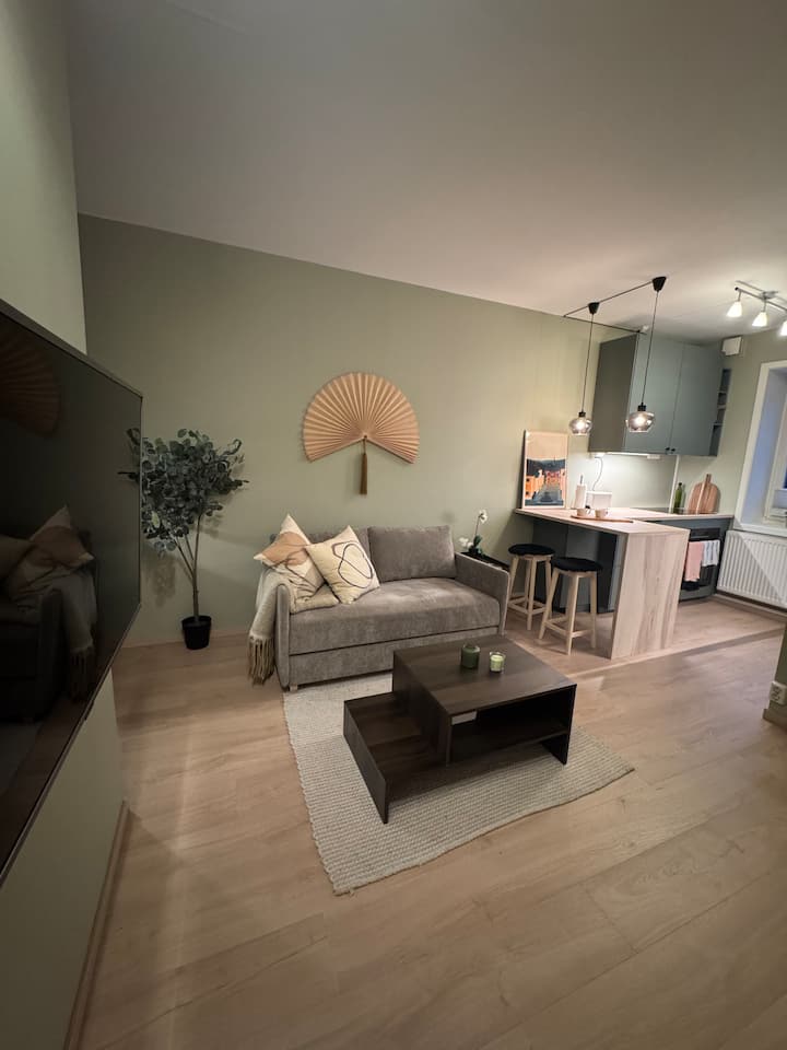 Calm And Central Apartment - Oslo Central Station