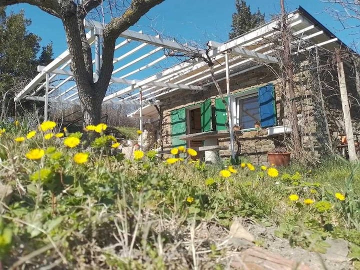 Portorož - Olive Gardens Cottage - Portorož