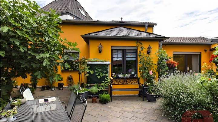 Sonnenschein - Brühl