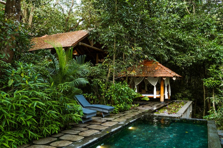 Where Luxury Meets Nature - Wayanad
