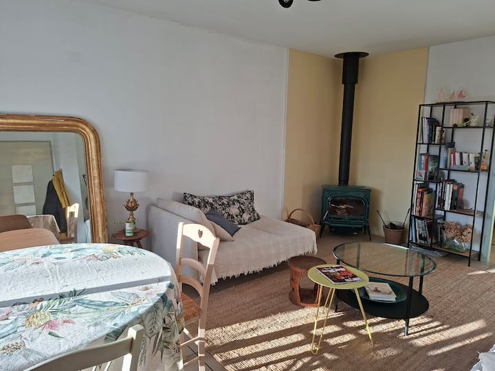 Maison Au Calme Sous Les Pins - Sanguinet