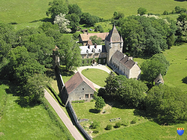 Château De Coraboeuf - Gîte De La Marquise - Nolay