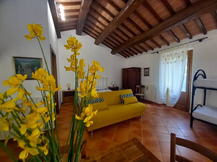 La Boccia's Home
Appartamento Immerso Nel Verde - Città di Castello