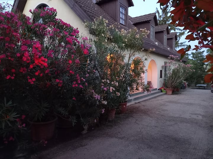 Benedek Ház - Balatonlelle