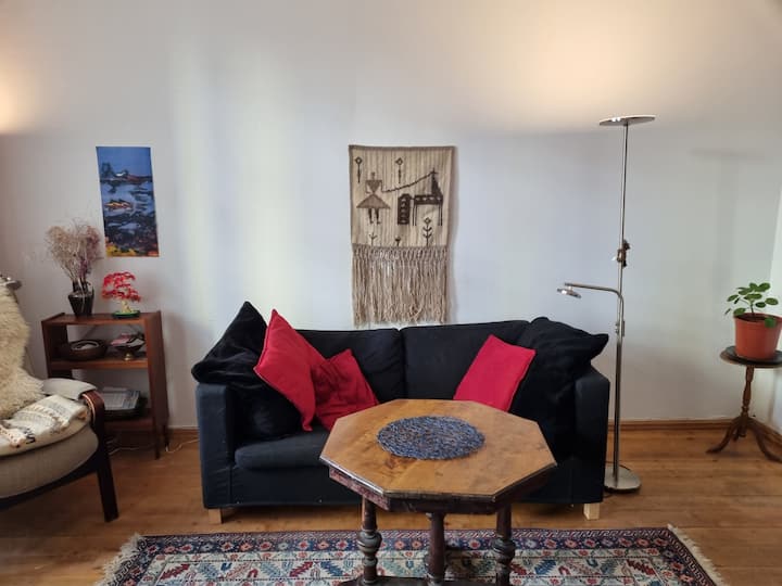Bo Rolig Og  Sentralt På Grünerløkka - Oslo