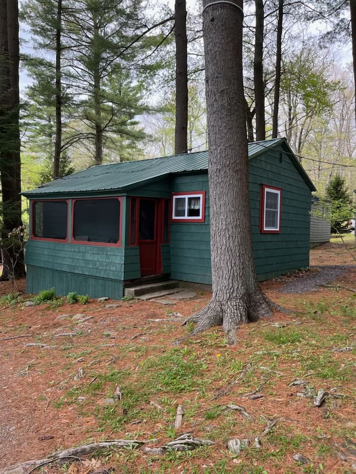 The Evergreen At Red Rock - Ricketts Glen State Park, Benton