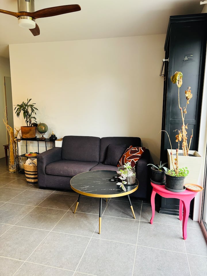Maison 2 Chambres Biscarrosse Bourg - Biscarrosse