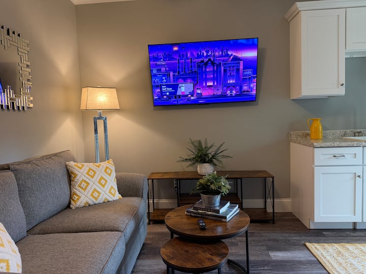 The Oasis Apartment 2 - Spring, TX