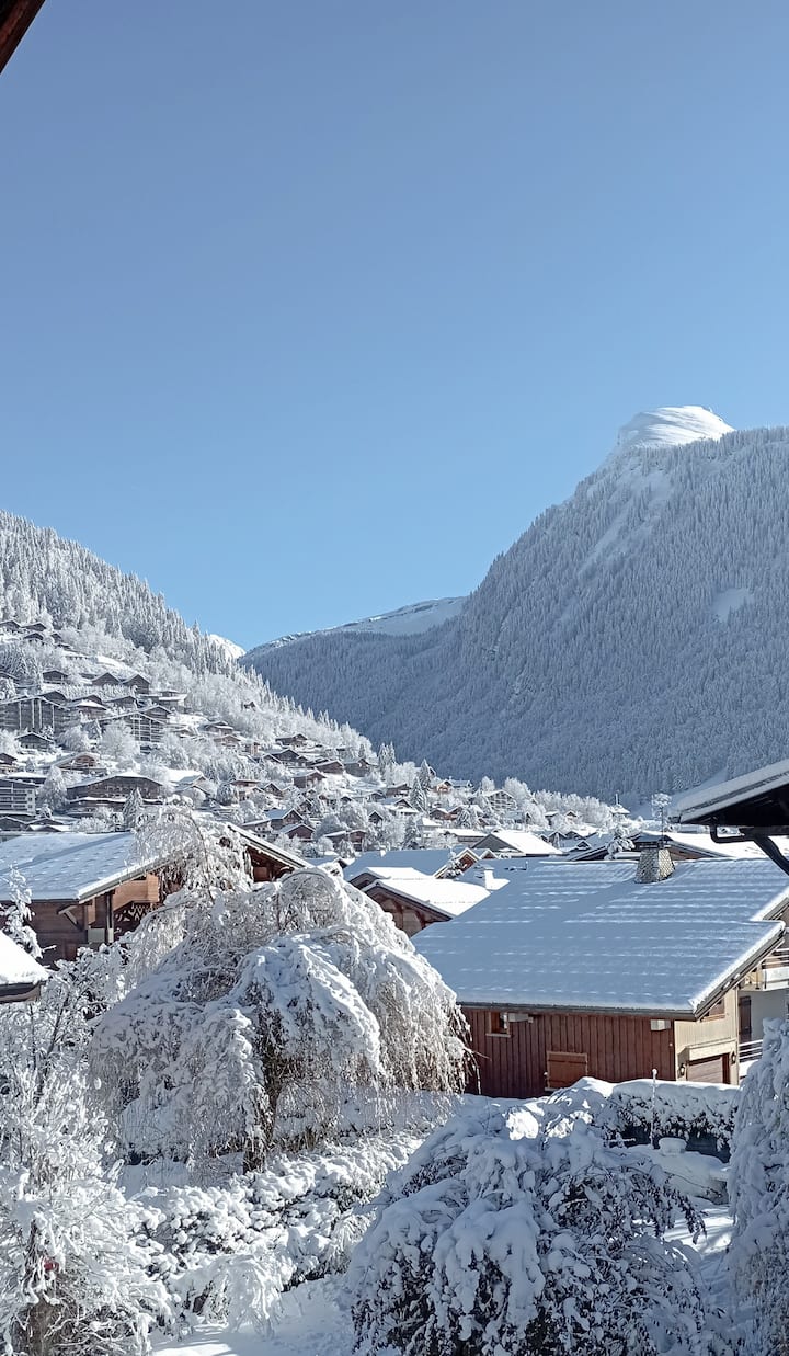 3 Pièces 4* Avec Jardin Proche Du Centre - Morzine