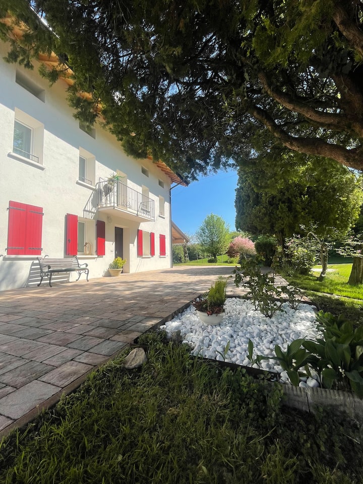 Riva Us 16, Home Experience - Belluno