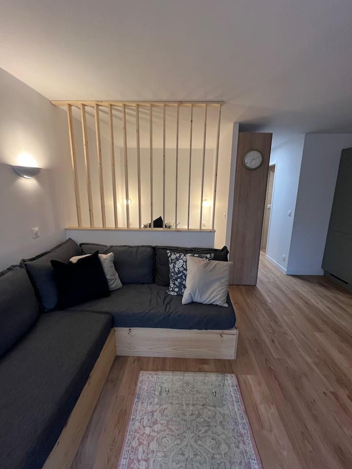 Superbe Appartement Entièrement Rénové. - Urrugne