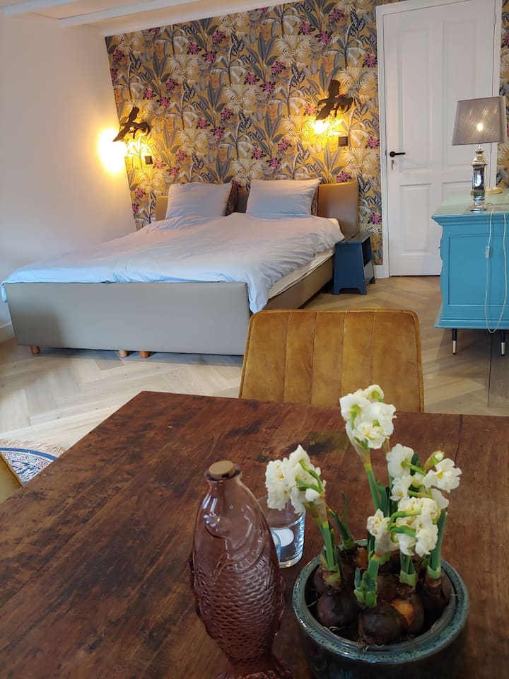 Appartement Juf - Ook Voor Expats - Lisse