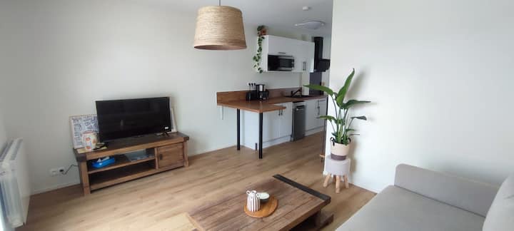 Appartement Au Pied Des Dunes - Erdeven