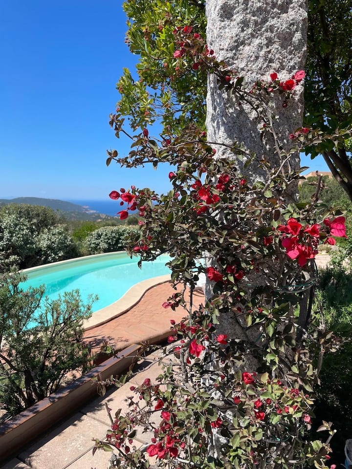 Sea Sky Villa With Private Pool - Costa Paradiso