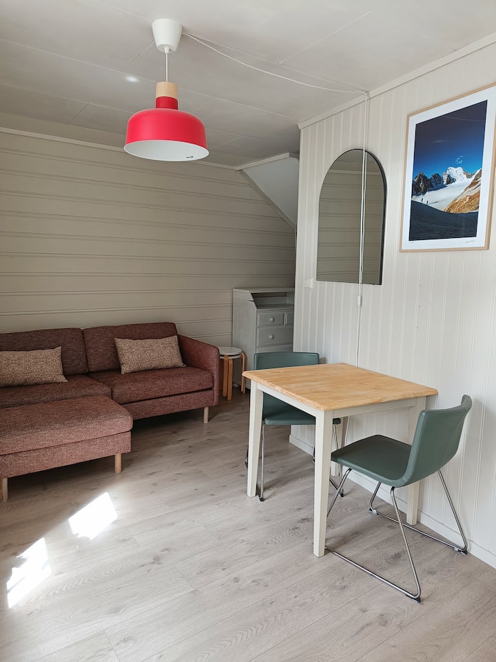 Bergen Apartment - Groenland