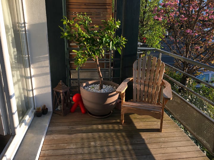 ÉLégant T3 Avec Terrasse Au Coeur De Cambo - Espelette