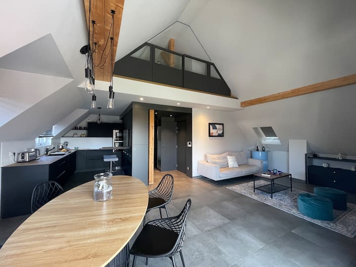 Loft Design Climatisé - Terrasse Proche Strasbourg - La Wantzenau