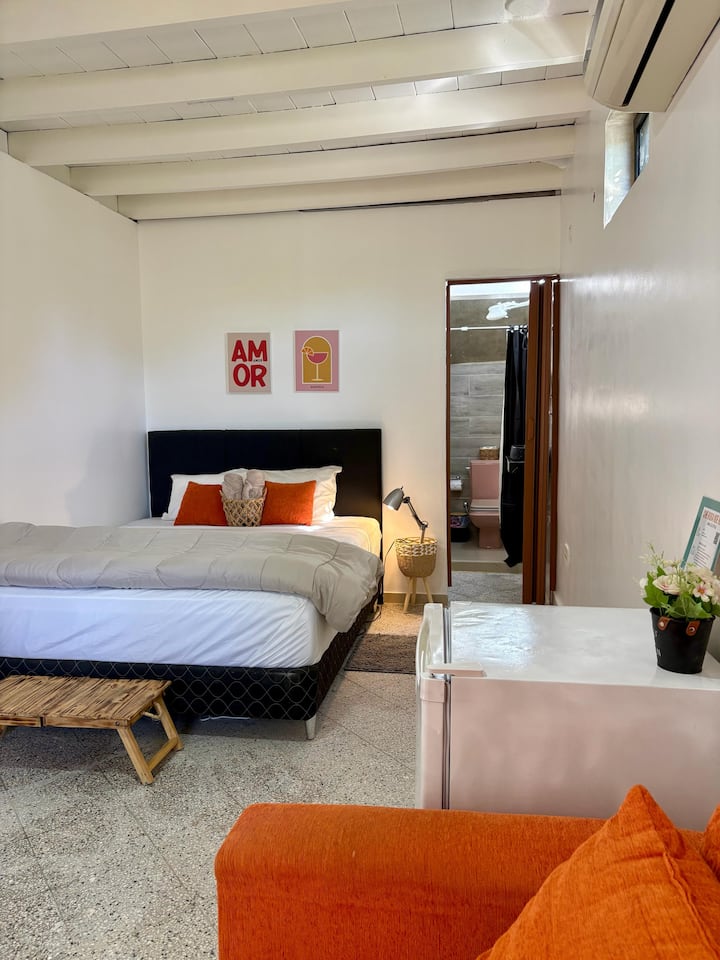 Loft Con Jardín Amplio Cerca Del Aeropuerto - Paraguay