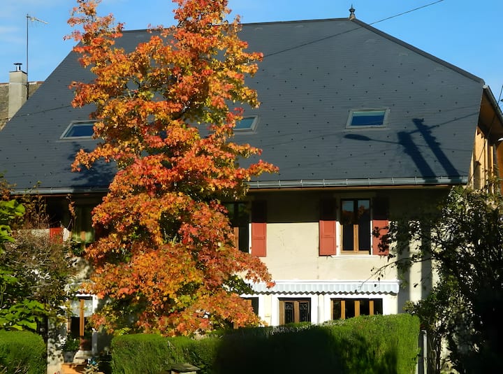 Le Cabanon Studio 35 M² - Doussard