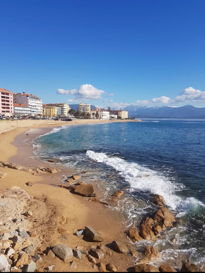 Appartement à 50m De La Plage - Centre Ville - Ajaccio