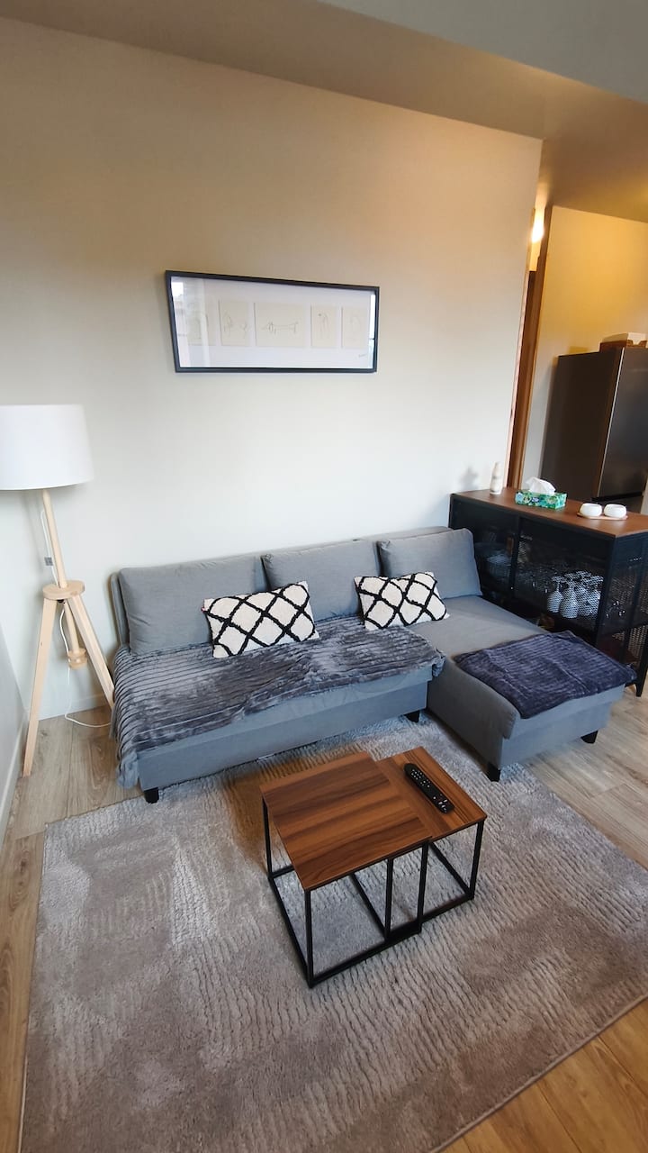 Appartement 6 Couchages T3 - Neuville-sur-Saône