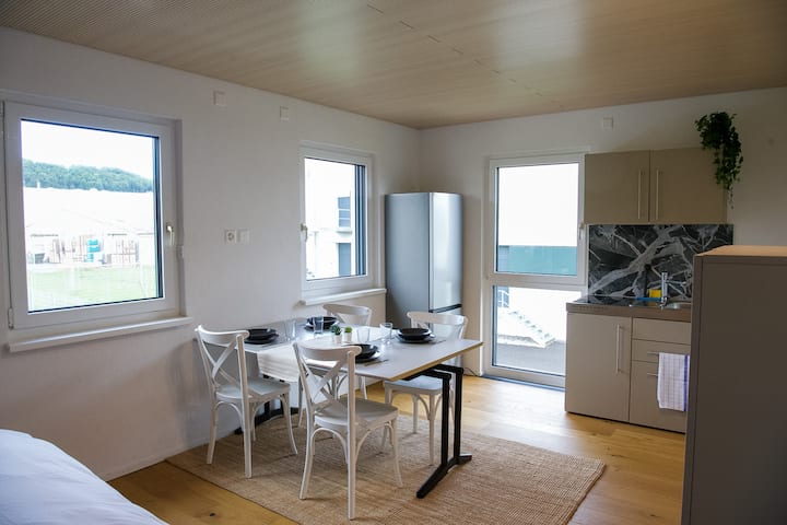 Modern Lake Zurich Studio | Pfäffikon Free Parking - Rapperswil-Jona