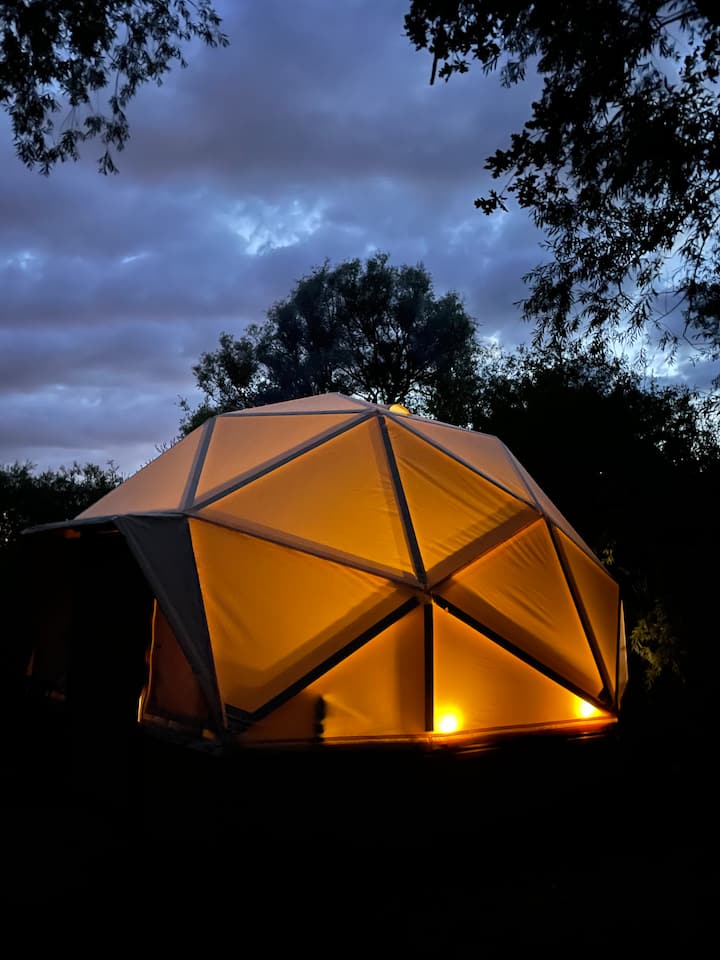 Woodland Dome By The River - Ringwood
