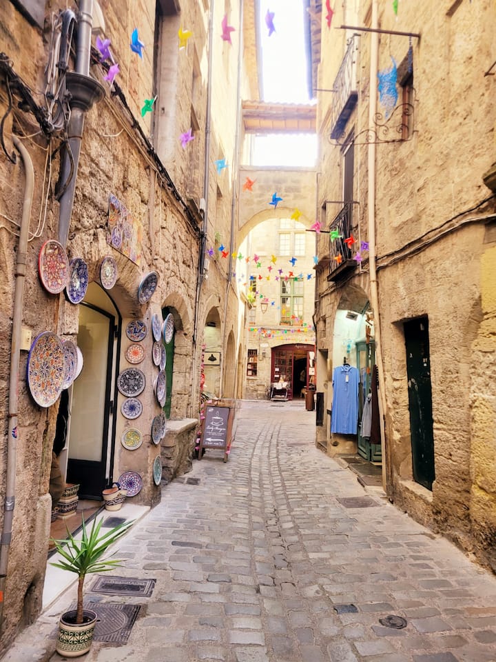 Appartement Dans Le Coeur Historique De Pézenas - Pézenas