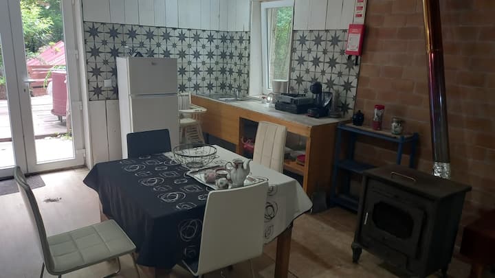 Quinta Do Castermo - Ribeira 4 Personnes - Fafe