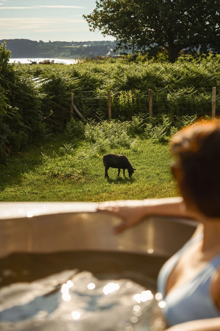Lodge Premium En Bretagne Spa Et Piscine Chauffée - Erquy