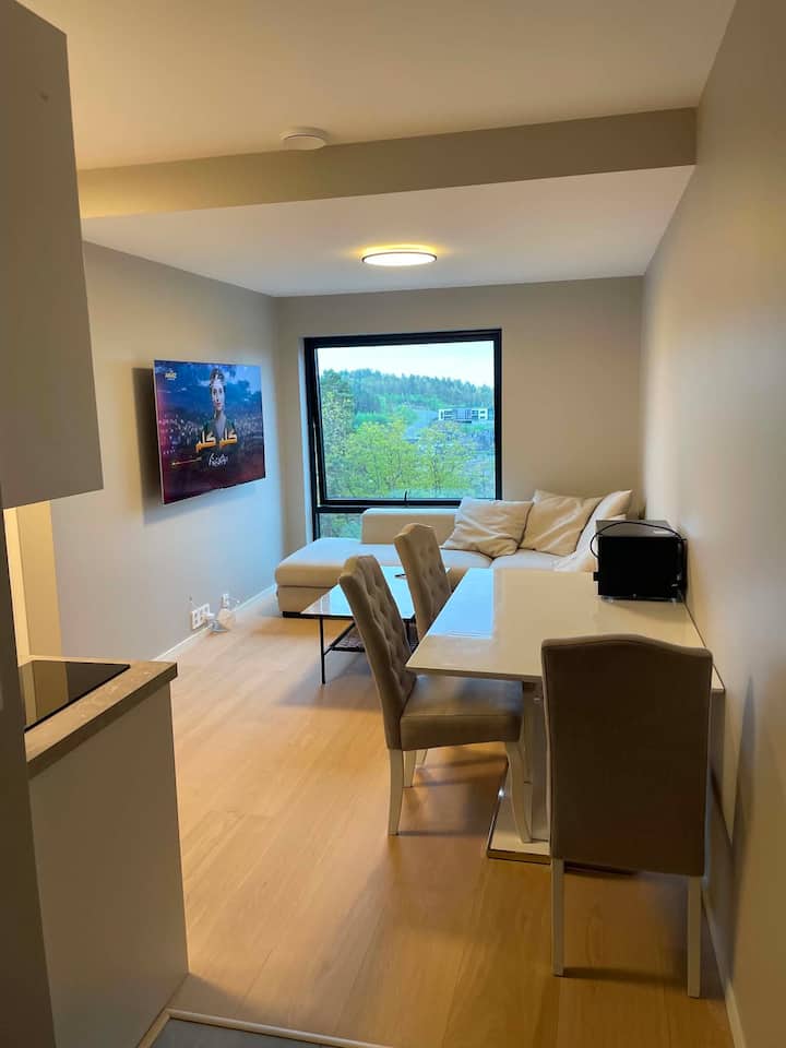 Ny & Moderne Leilighet På Lauvåsen Nær Dyreparken - Kristiansand