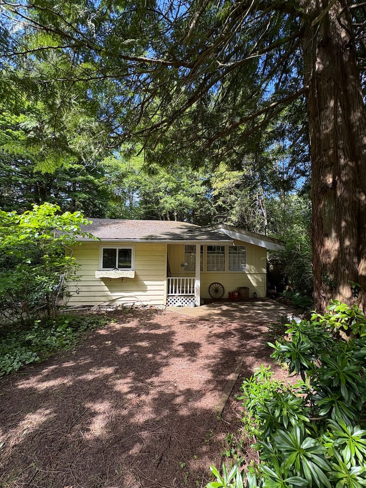 Retro Coastal Cottage Retreat - Point Roberts, WA