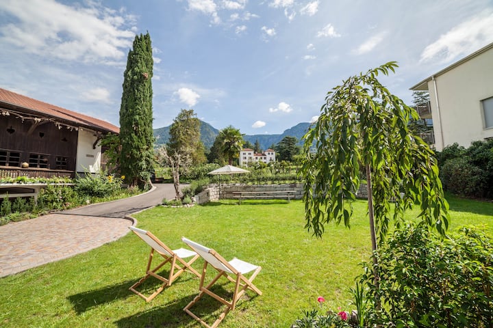 Ansitz Layshof Apartment Erlebach - Tirol