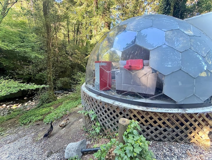 Redwood Dome - Boulder Creek, CA