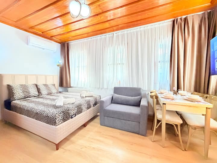 Hg Classic Studio Apartment 1 - Beyazıt