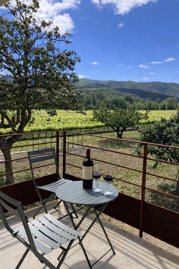 Balcon Sur Les Vignes *Loft De Charme 2 Pers* - Limoux