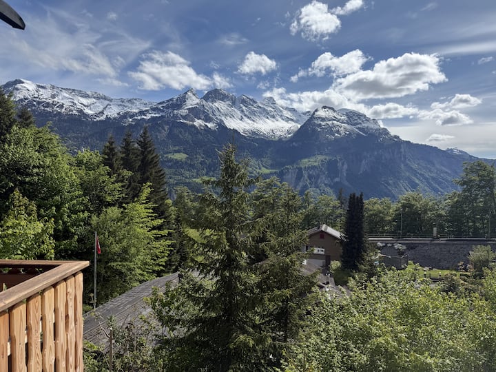 Cozy Chalet Montana Near Brünig Pass - Innertkirchen