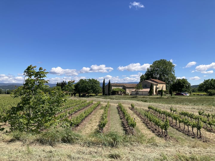 Chez L'armandine- Vieille Ferme Provençale-luberon - Bonnieux