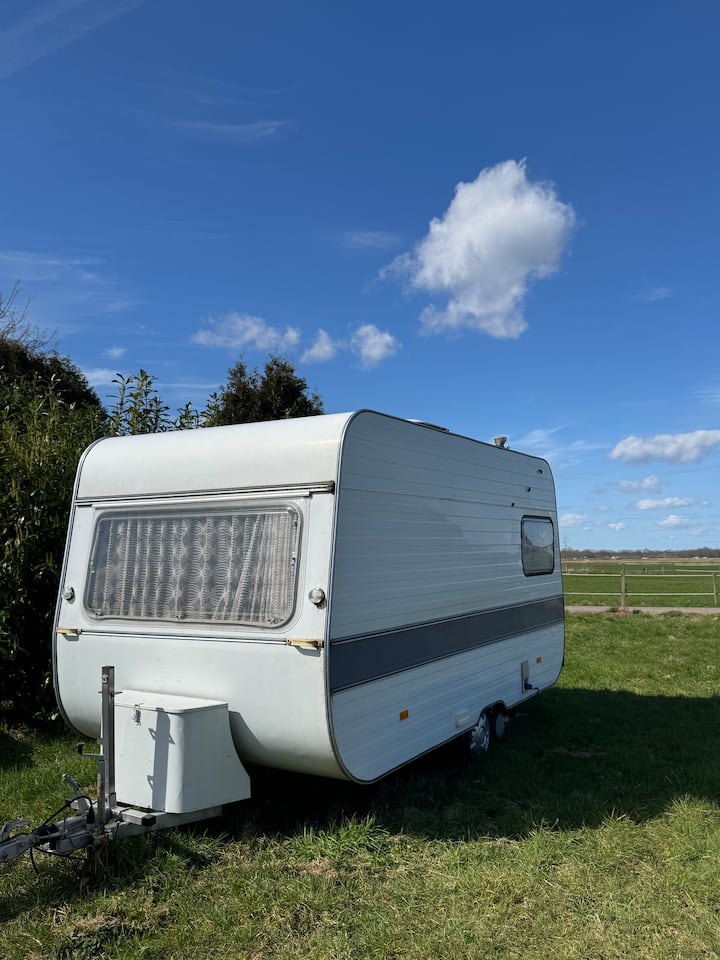 Adria's Schuilplekje | Retro Caravan Bij De Kippen - Stadskanaal