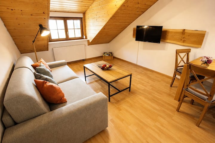 Ferienwohnung Regent 45qm - Gengenbach