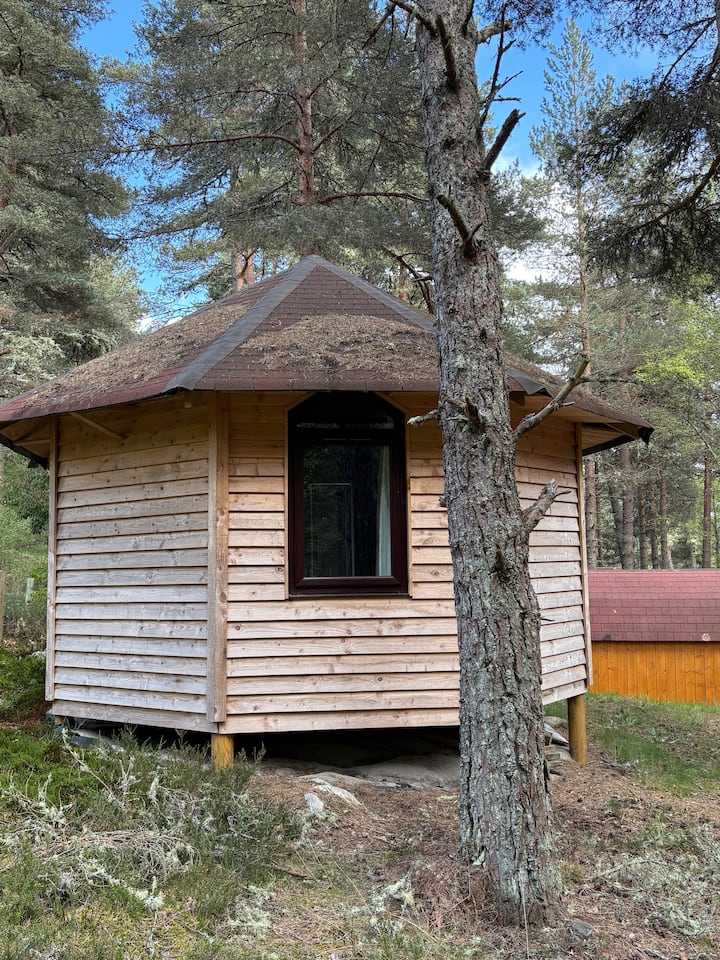 Pod 73/4 - Drumnadrochit