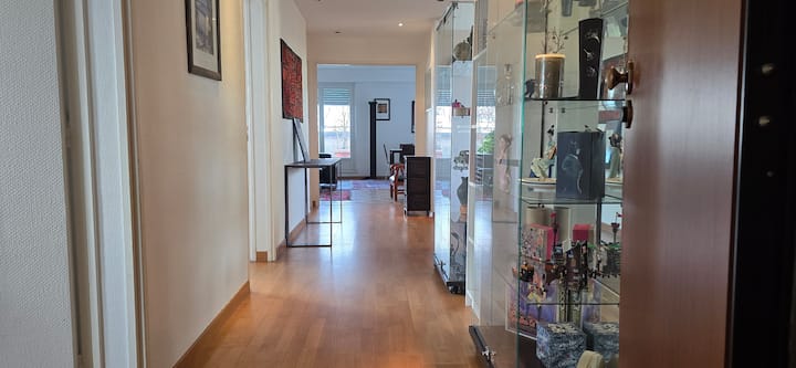 Bel Appartement 130m2 En Attique à Strasbourg - Strasbourg