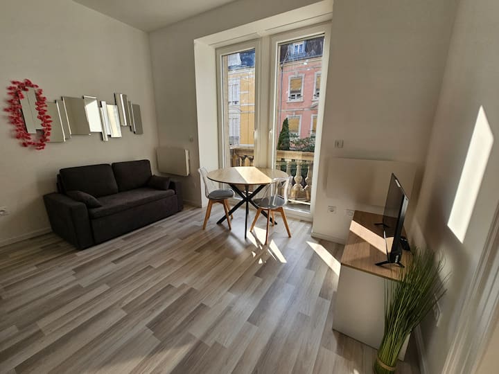 Superbe Meublé 33 M² Entièrement Neuf & Moderne - Mulhouse